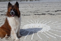 Canilo – ein alltagstauglicher Familienhund