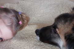 Canilo – ein alltagstauglicher Familienhund